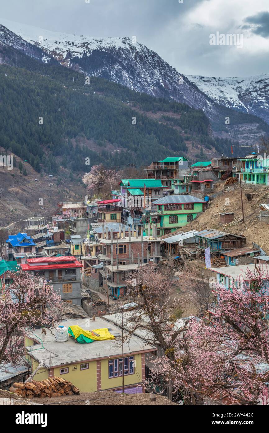 Himalaya mountains, Sangla, India Stock Photo - Alamy