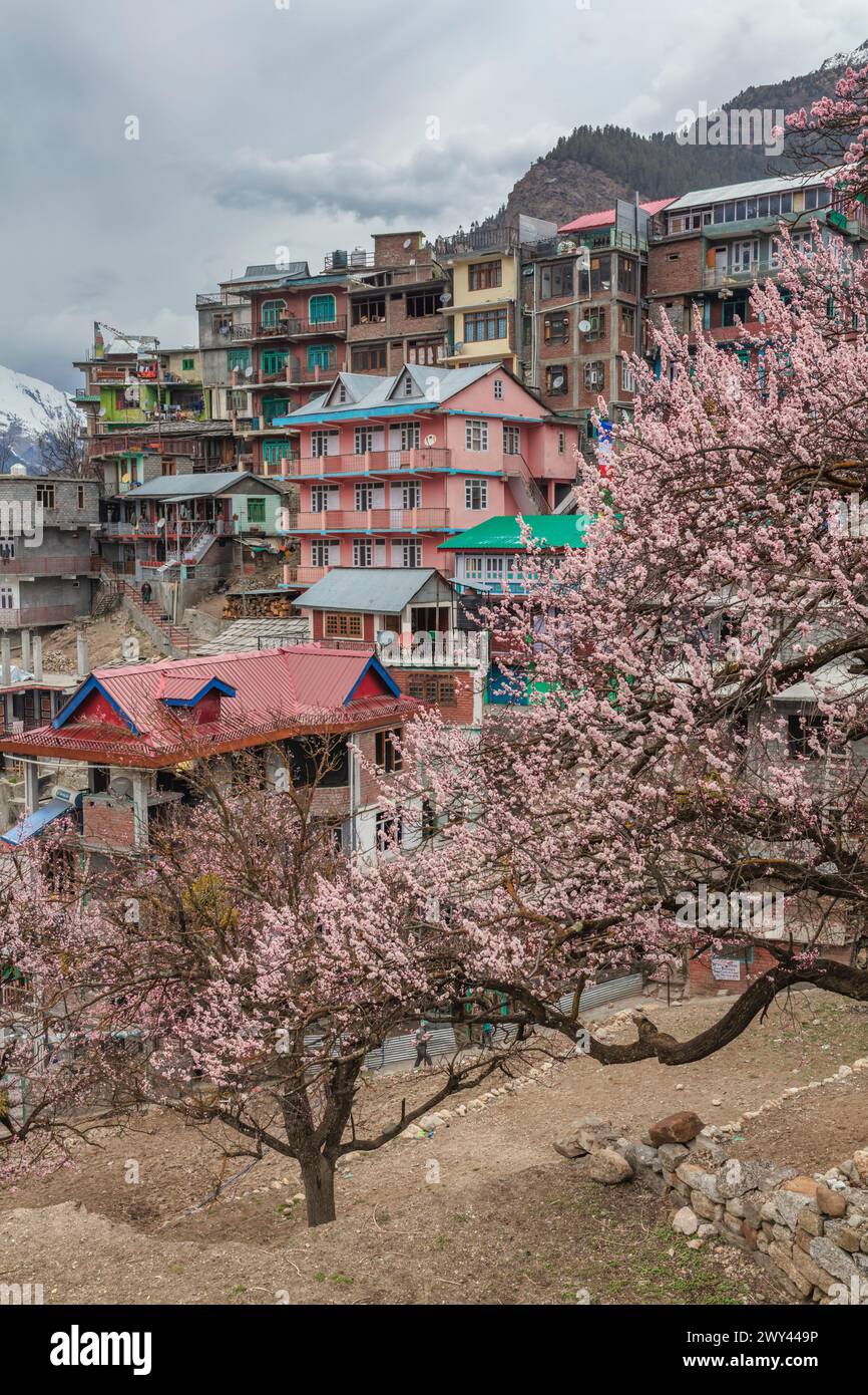 Sangla hi-res stock photography and images - Alamy