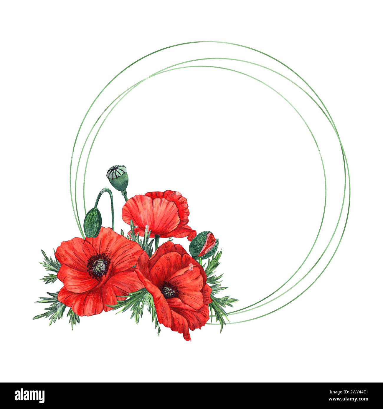 Round frame with red poppies drawn in watercolor on a white background ...