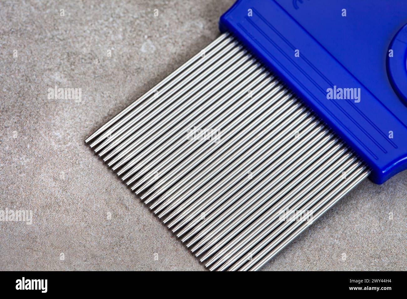 Human louse kid hi-res stock photography and images - Alamy