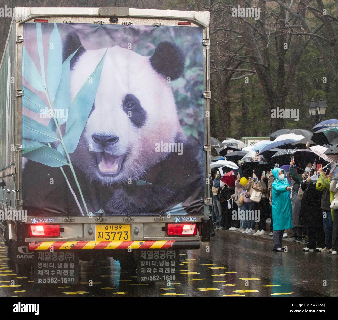 Beijing, South Korea. 3rd Apr, 2024. People bid farewell to giant panda ...