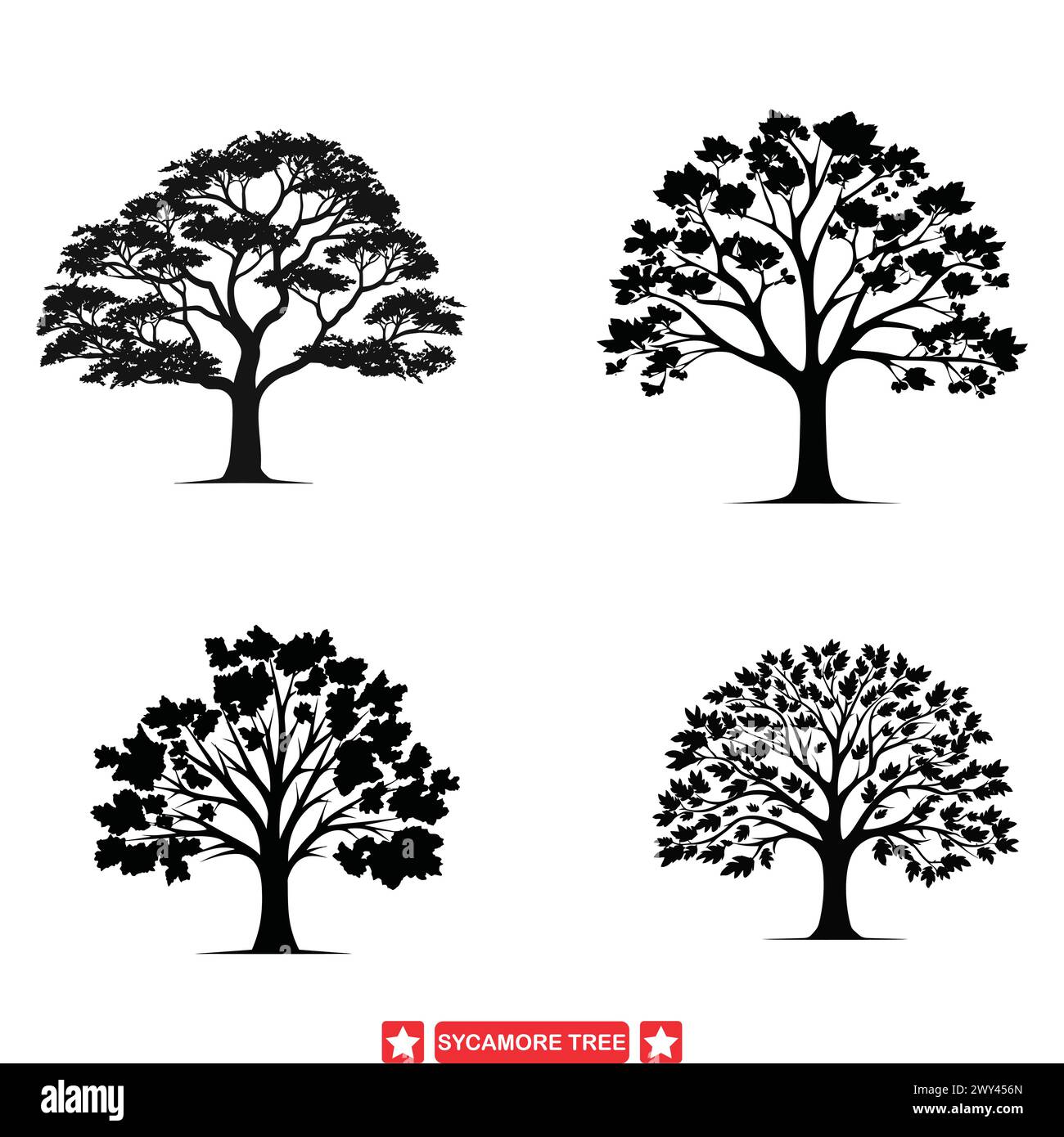 Nature s Symphony Sycamore Tree Silhouette Ensemble in Vector Stock ...