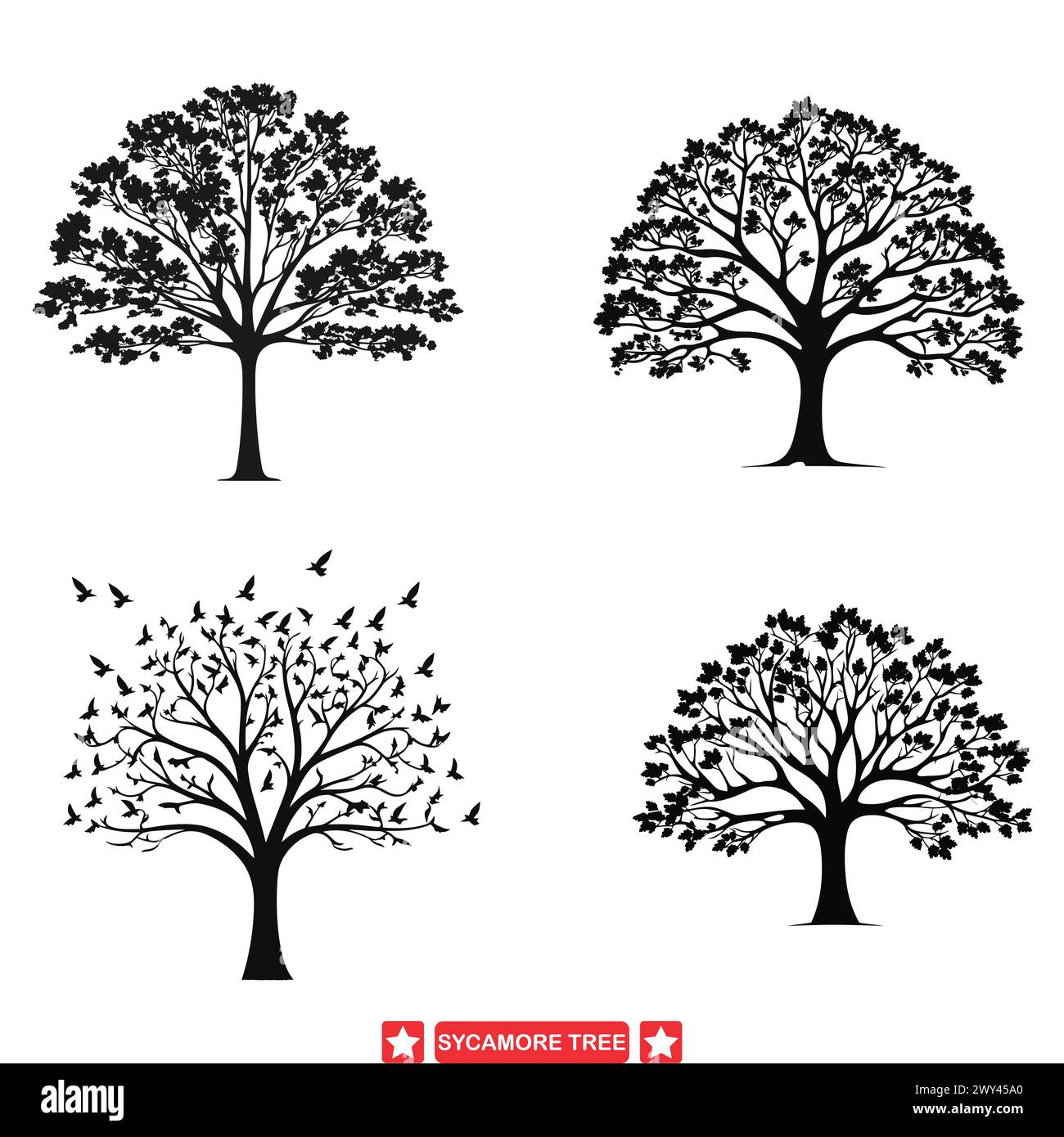 Rustic Charm Sycamore Tree Vector Collection for Artistic Projects ...