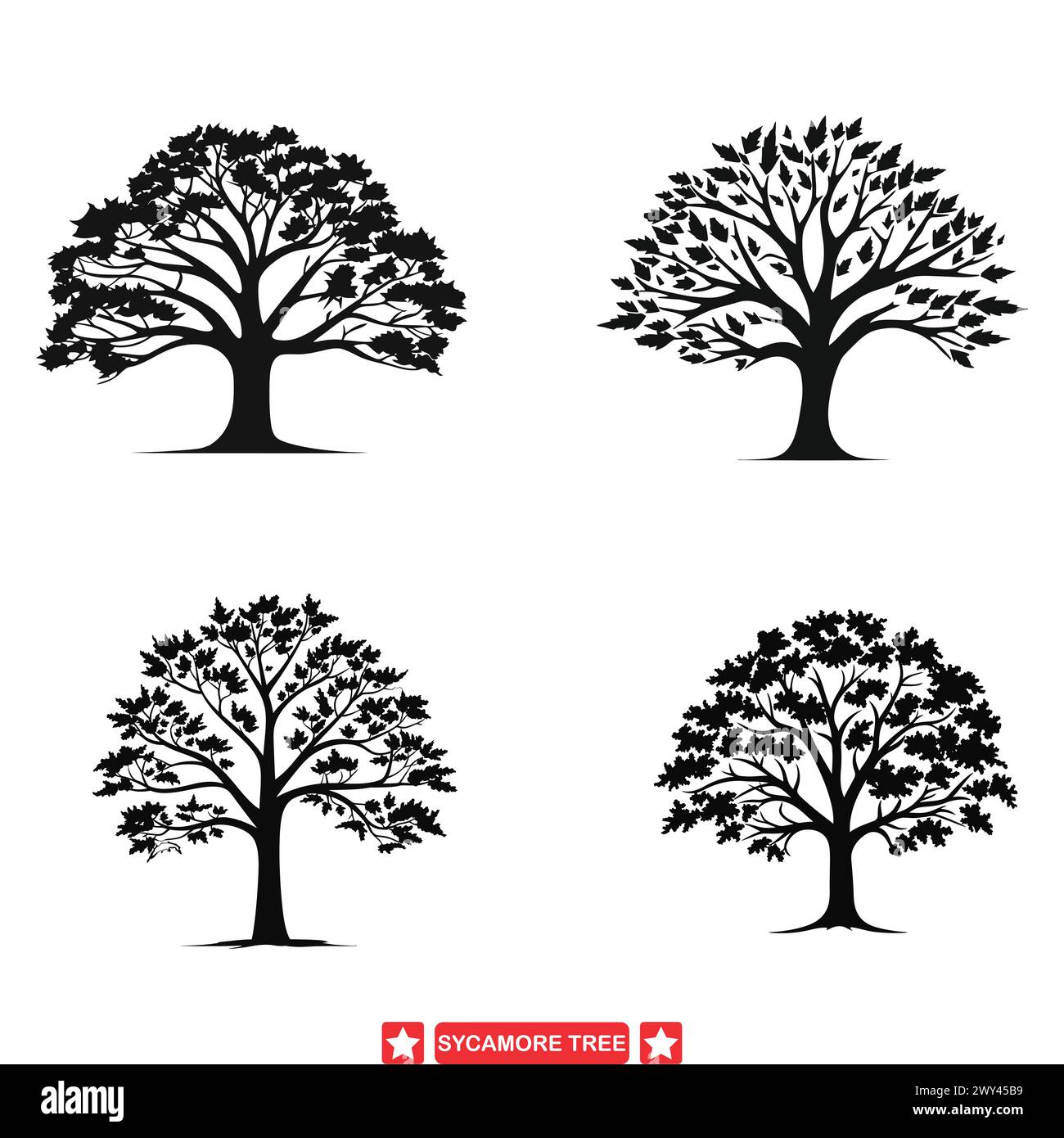 Timeless Beauty Sycamore Tree Vector Silhouettes in Classic Form Stock ...