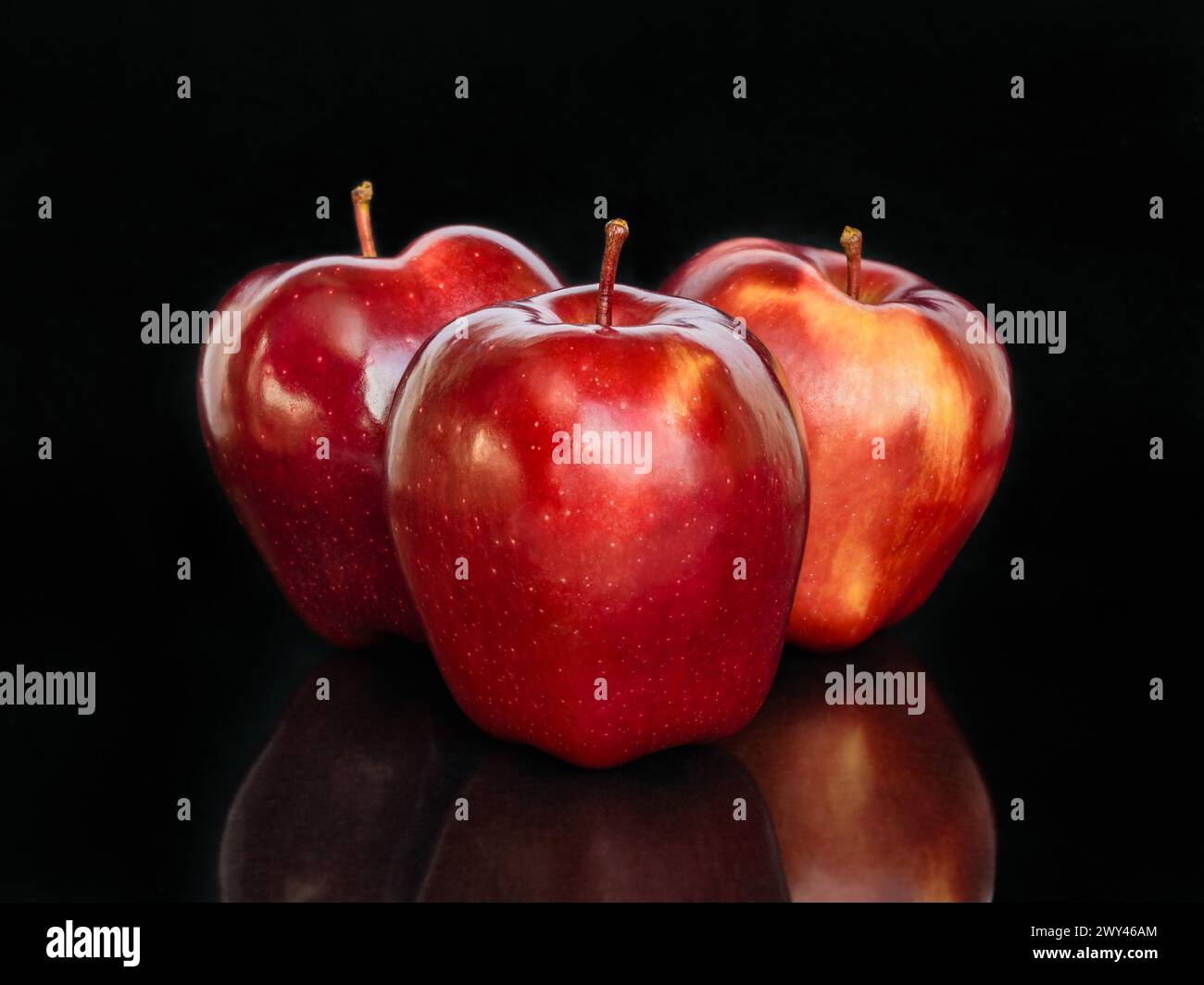 Three Red Delicious (Red Chief) apples on a black background with ...