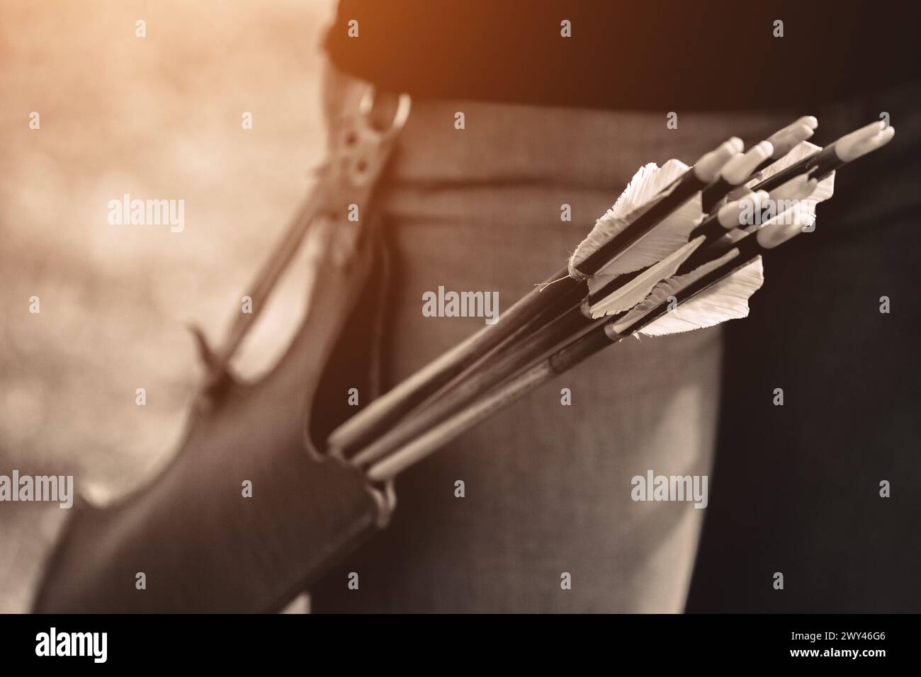 Athlete aiming at a target and shoots an arrow. Archery Stock Photo - Alamy