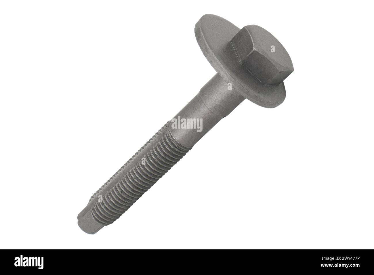 Camber adjusting bolts close-up isolated on white background. Cam bolt ...