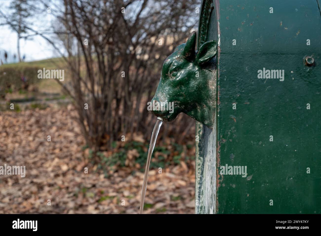 Close-up of Toret, little bull, small bull. Typical fountain of Turin ...