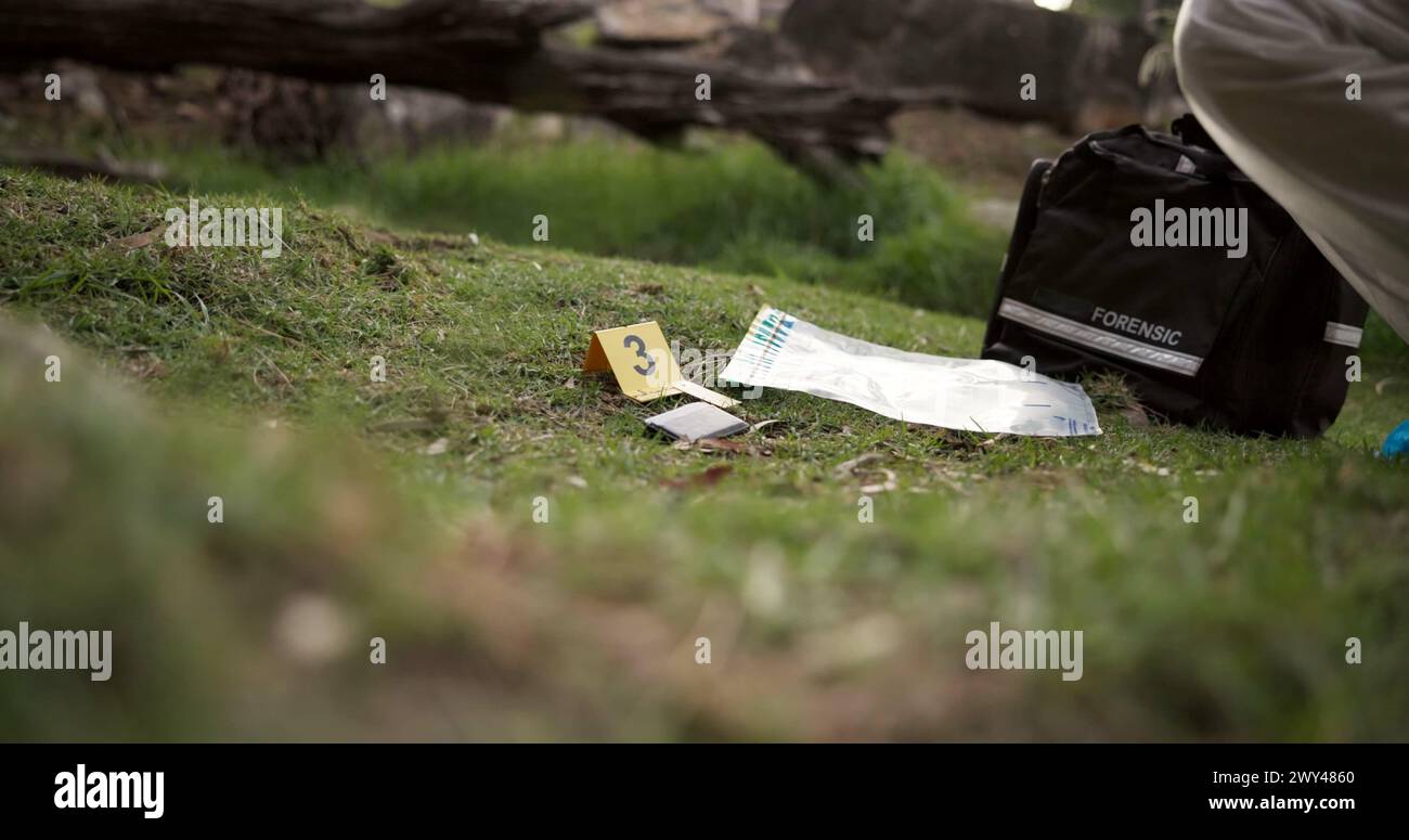 Csi, photographer and evidence at crime scene for investigation in ...