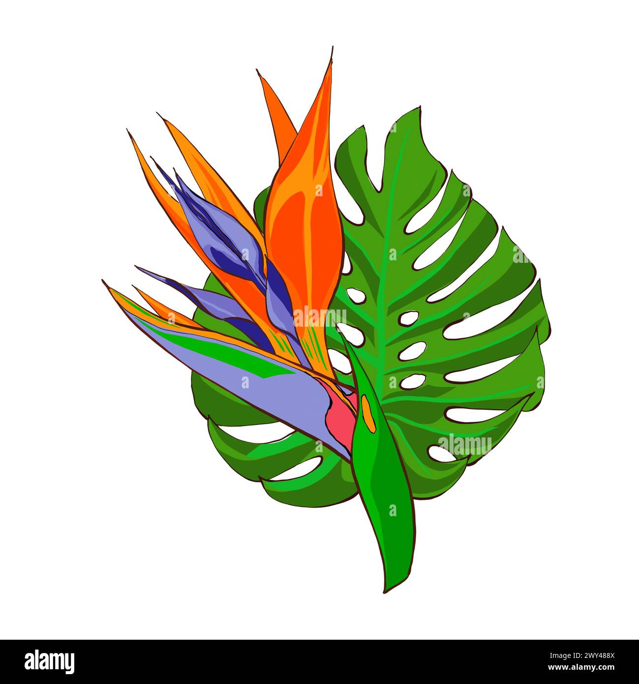 Bouquet of tropical flowers, hand drawn illustration isolated on white ...