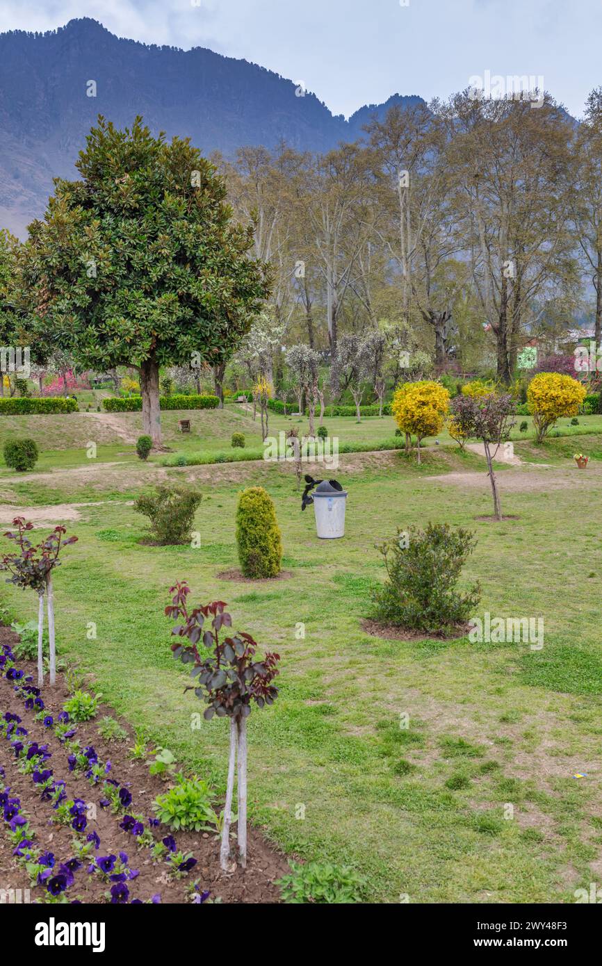 Nishat Bagh, terraced Mughal garden, 17th century, Srinagar, Kashmir ...