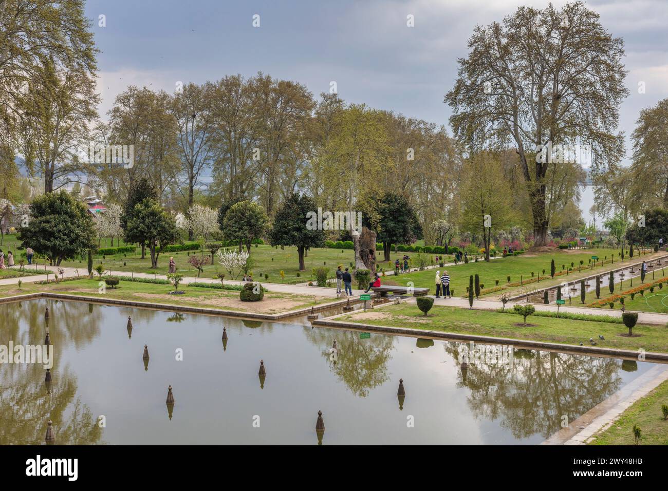 Nishat Bagh, terraced Mughal garden, 17th century, Srinagar, Kashmir ...