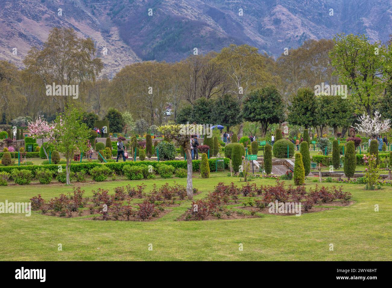 Nishat Bagh, terraced Mughal garden, 17th century, Srinagar, Kashmir ...