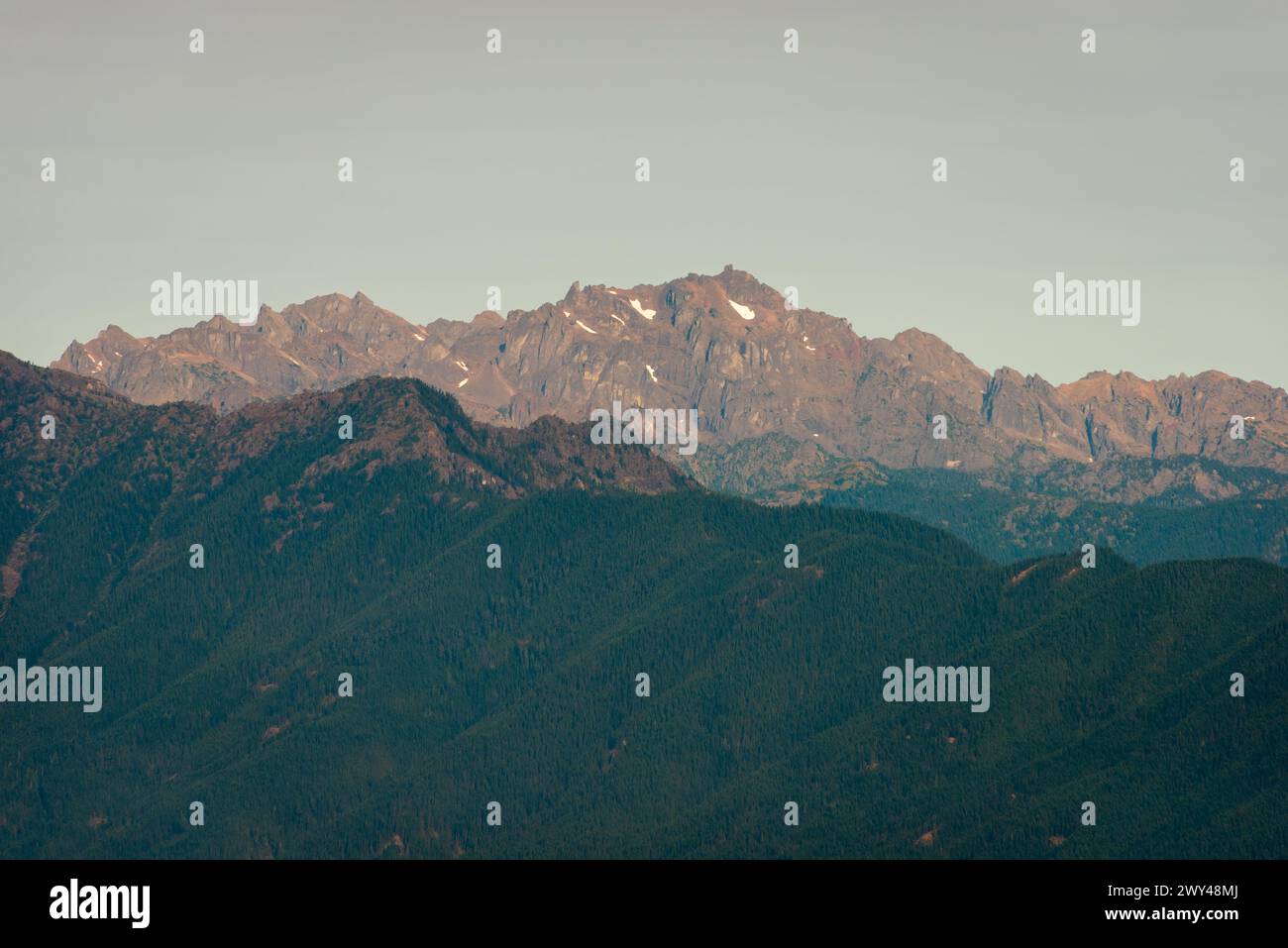 The Wildcat Staging Area Green Mountain State Forrest in Washington ...