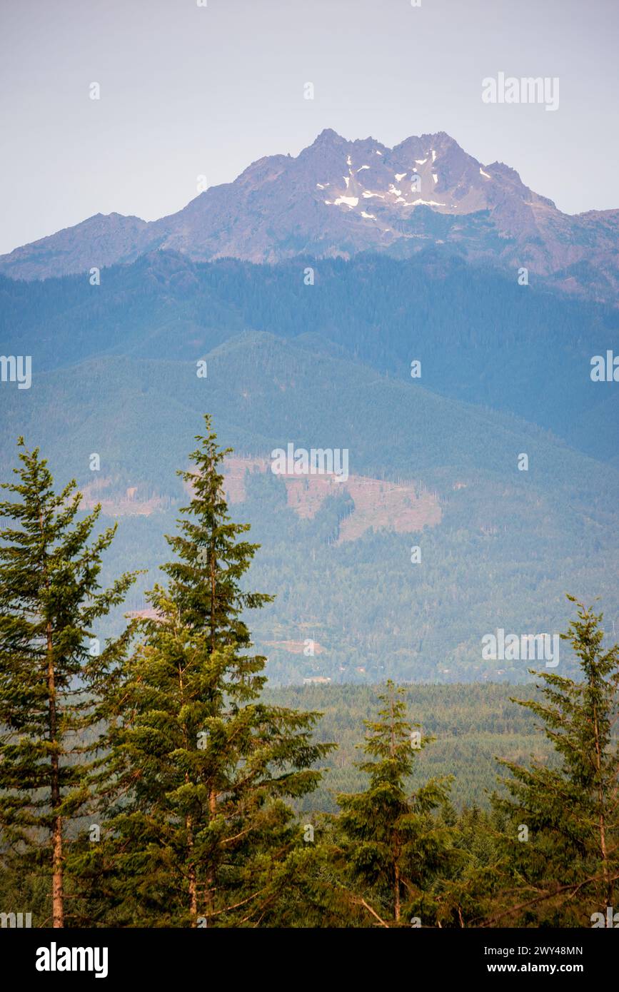 The Wildcat Staging Area Green Mountain State Forrest in Washington ...
