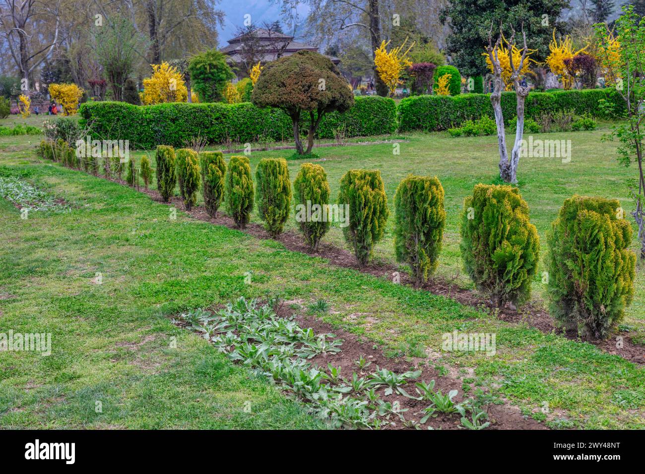 Shalimar Bagh, Mughal garden, 17th century, Srinagar, Kashmir, India ...