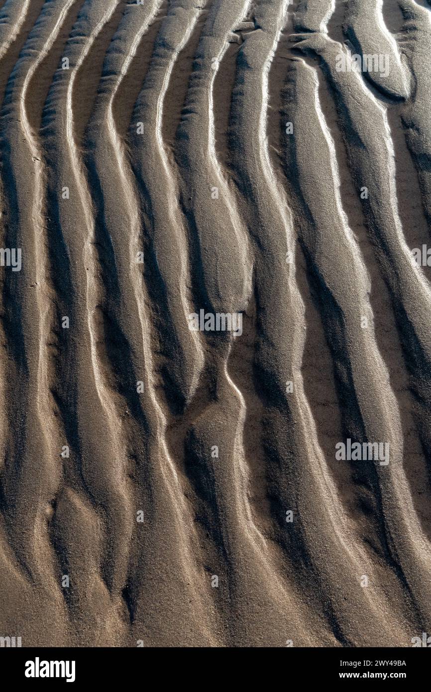 The image is of a beach with a sandy shoreline. The sand is covered in ...