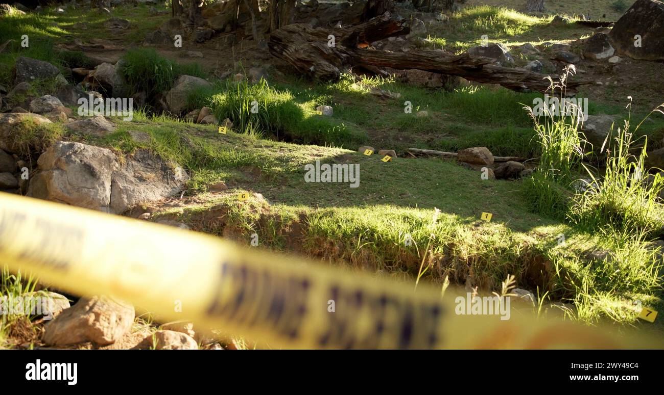 Crime scene, outdoor and forest for investigation, police and forensic ...