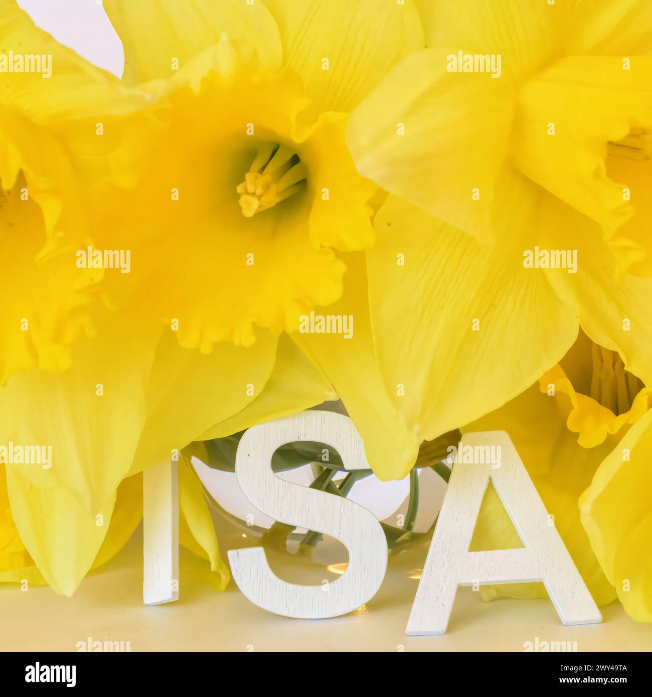 Isa letters hi-res stock photography and images - Alamy
