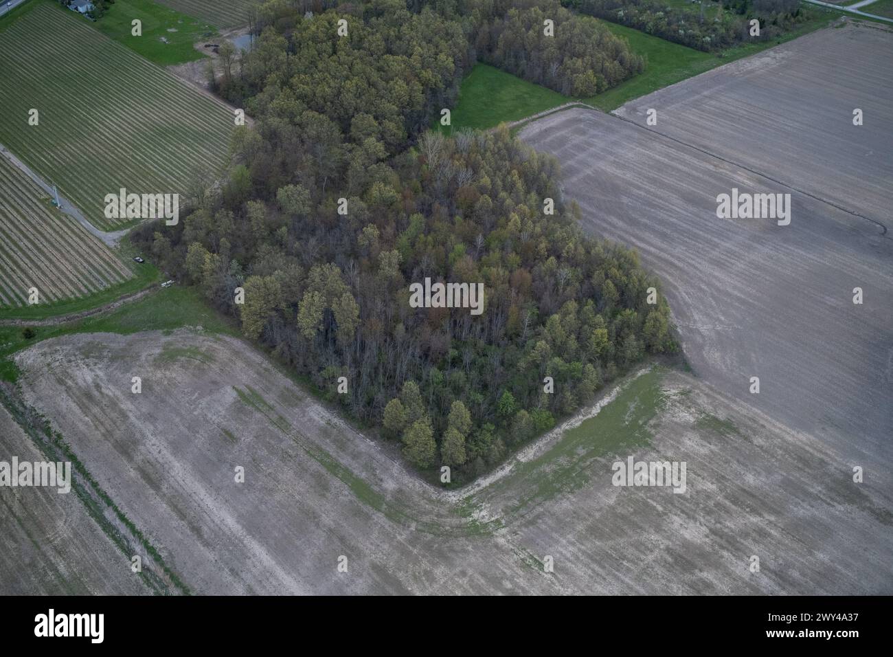 Aerial view of a rural fieldscape in the southern part of the province ...