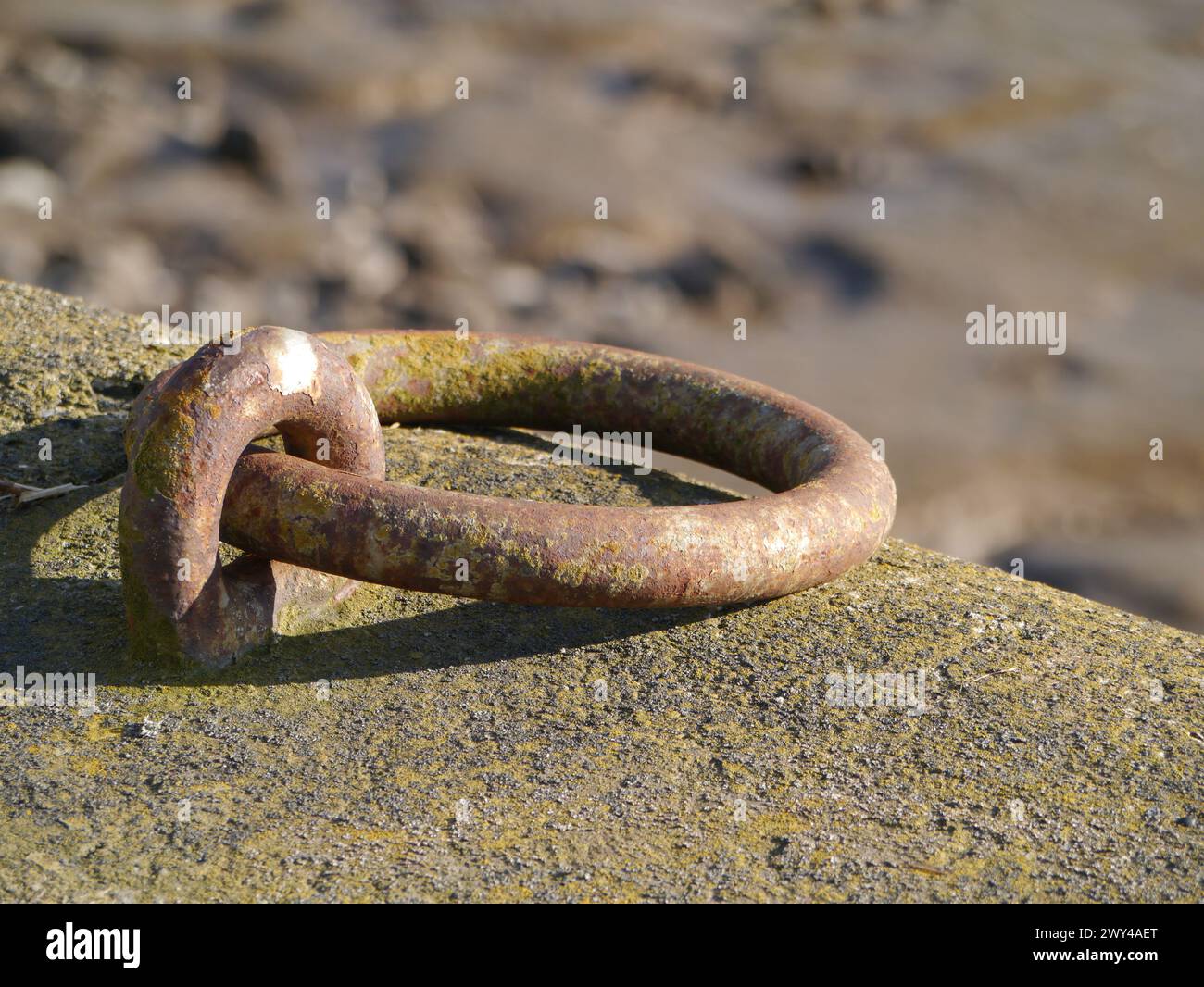 Otterspool hi-res stock photography and images - Alamy