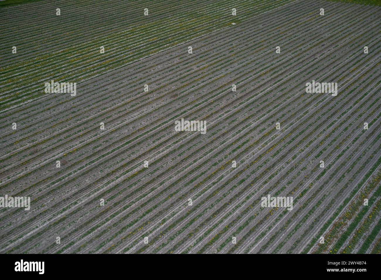 Aerial view of a rural fieldscape in the southern part of the province ...