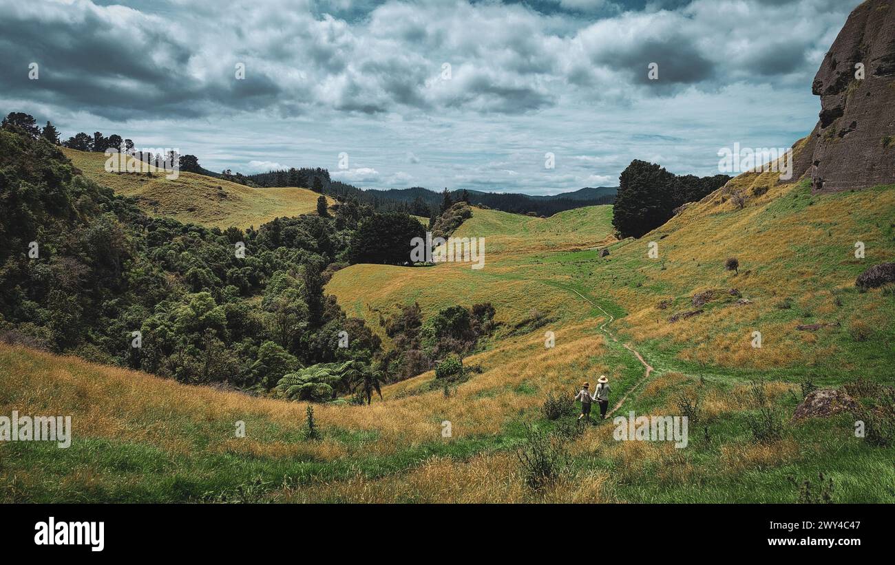 Diverging path hi-res stock photography and images - Alamy