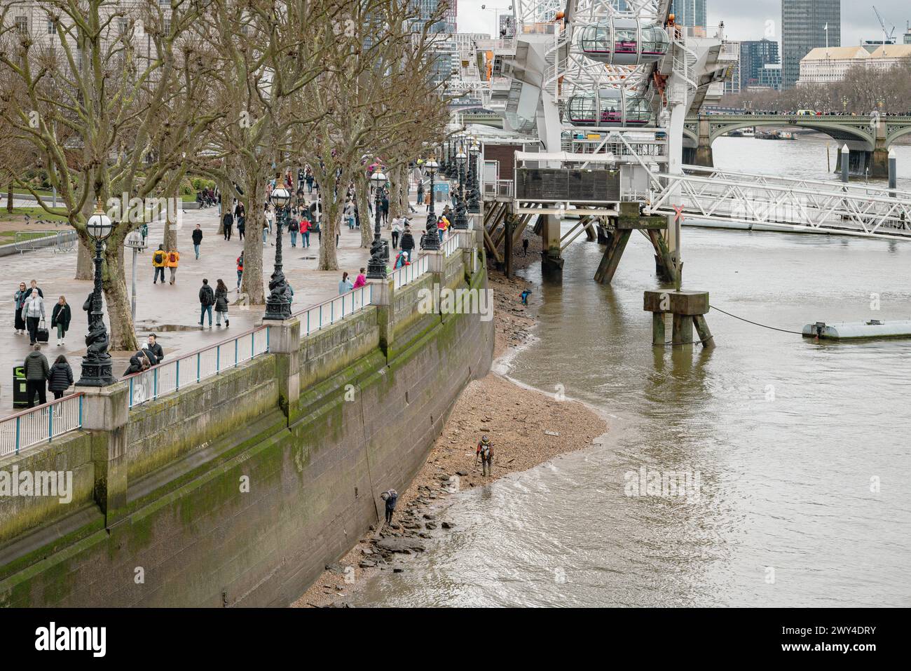 Metal detectorists on the Thames foreshore searching for treasure. It ...