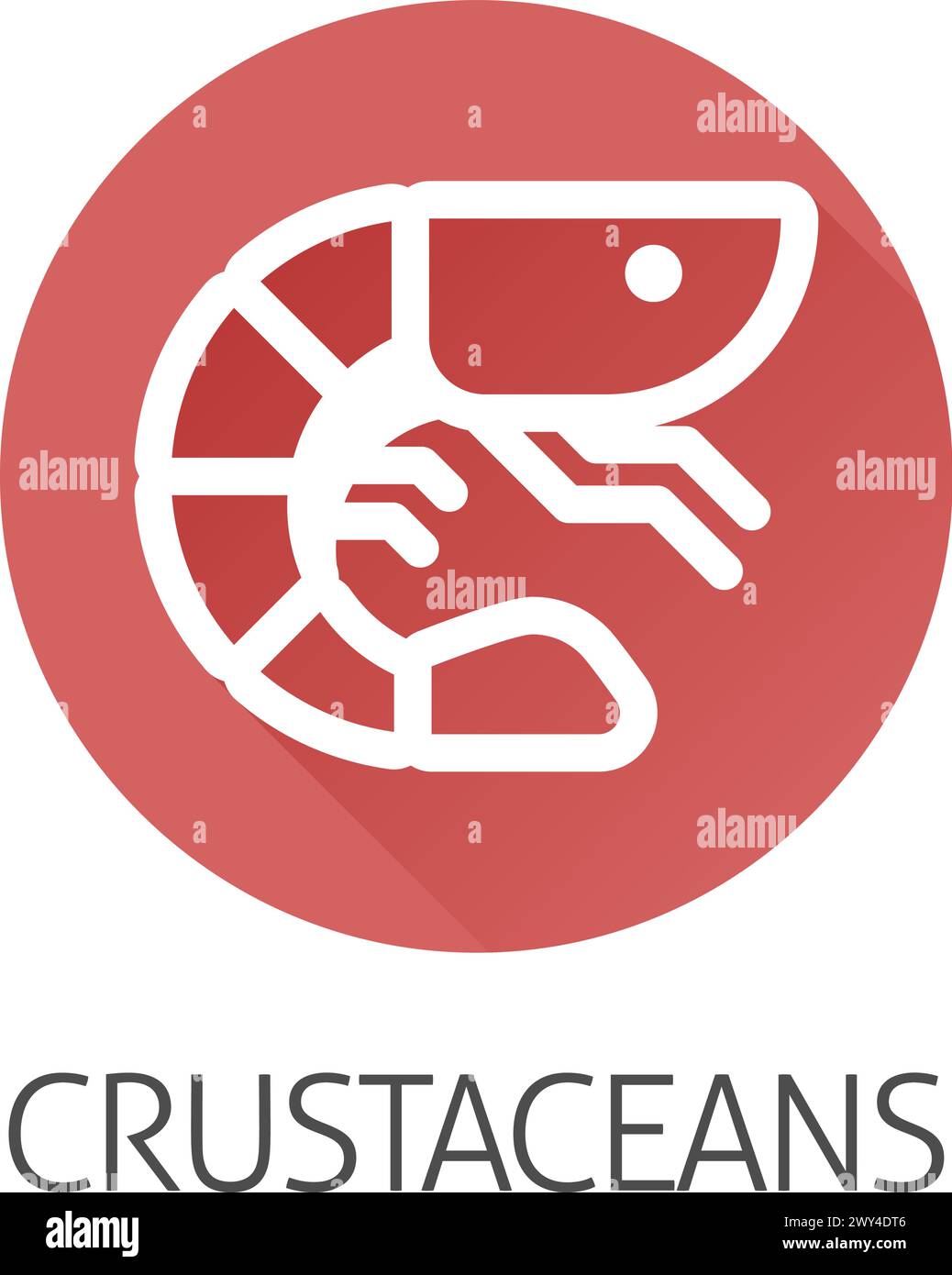 Prawn Shrimp Crustacean Food Allergen Allergy Icon Stock Vector Image ...