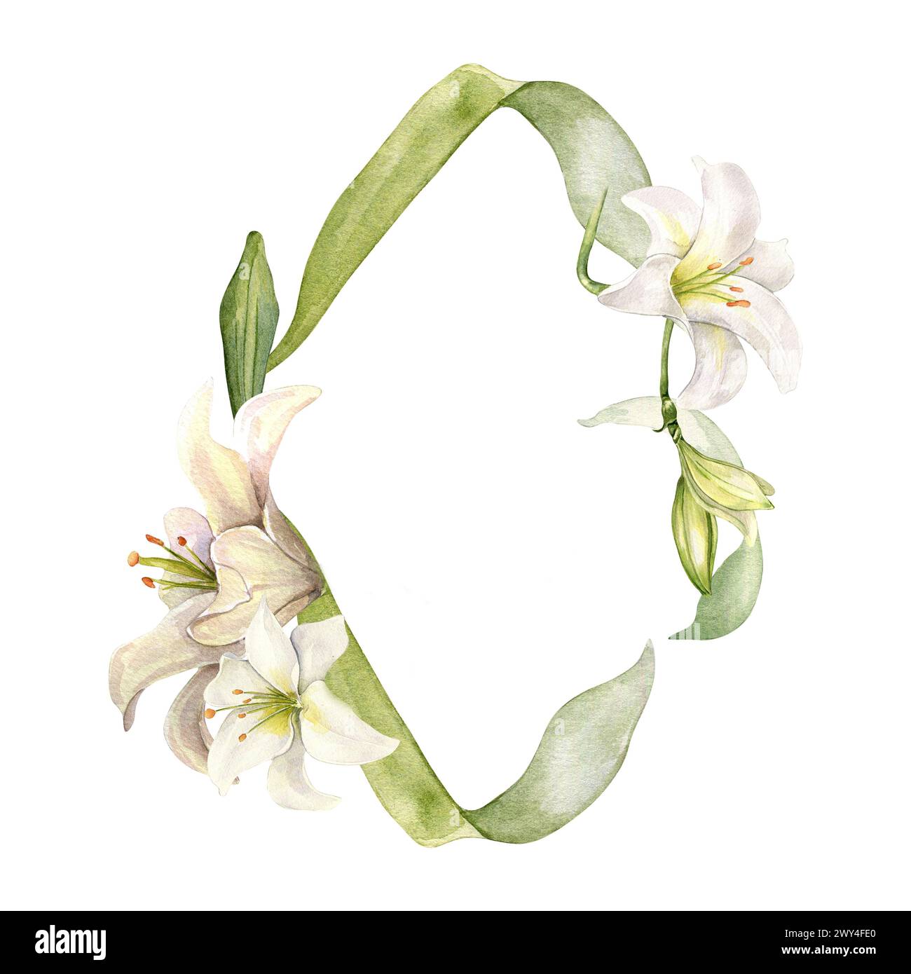 Watercolor lily and plant stems frame isolated on white. White flower ...