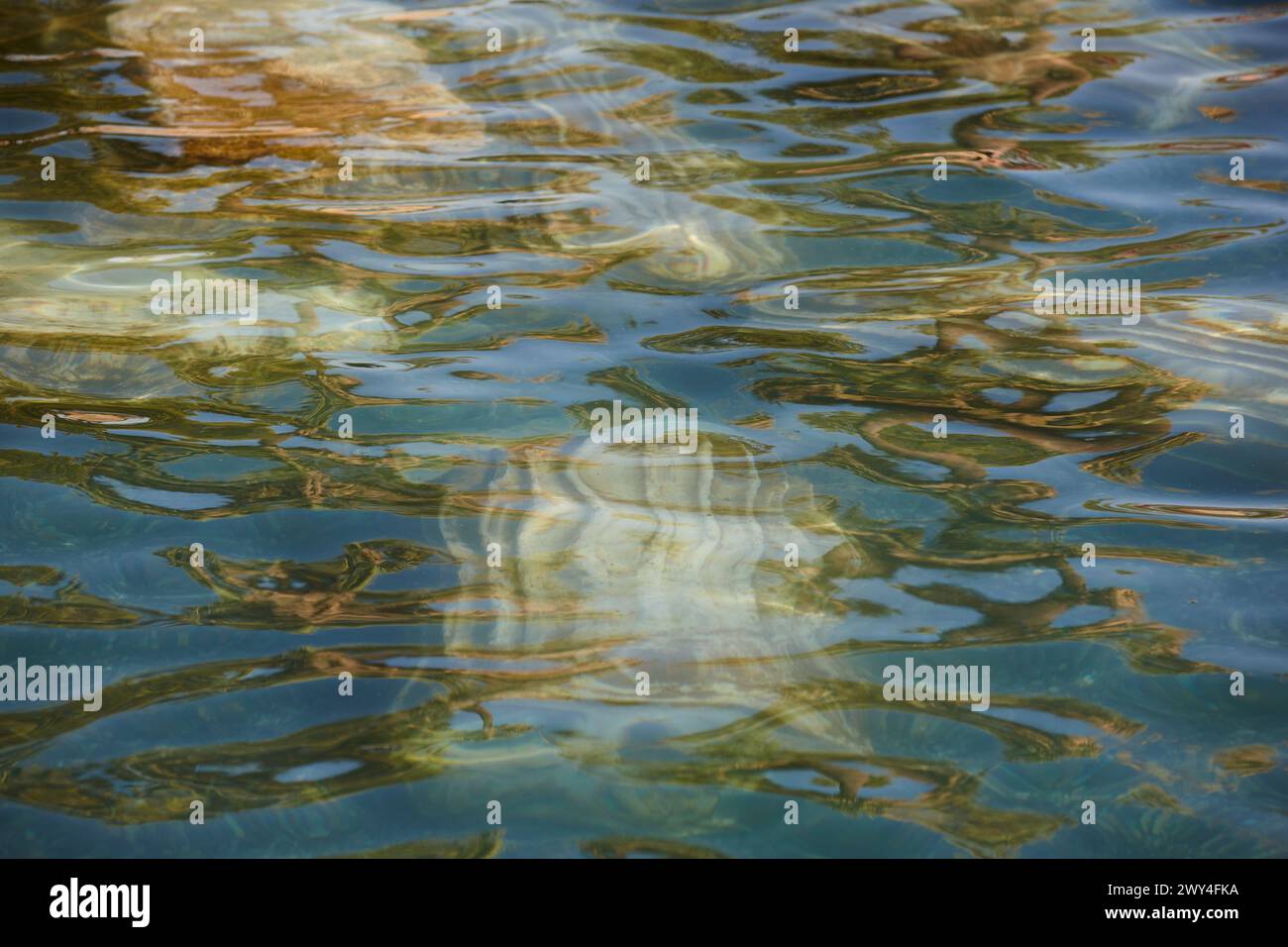 Thermal pool in archeological site of Hierapolis. Pamukkale landmark ...