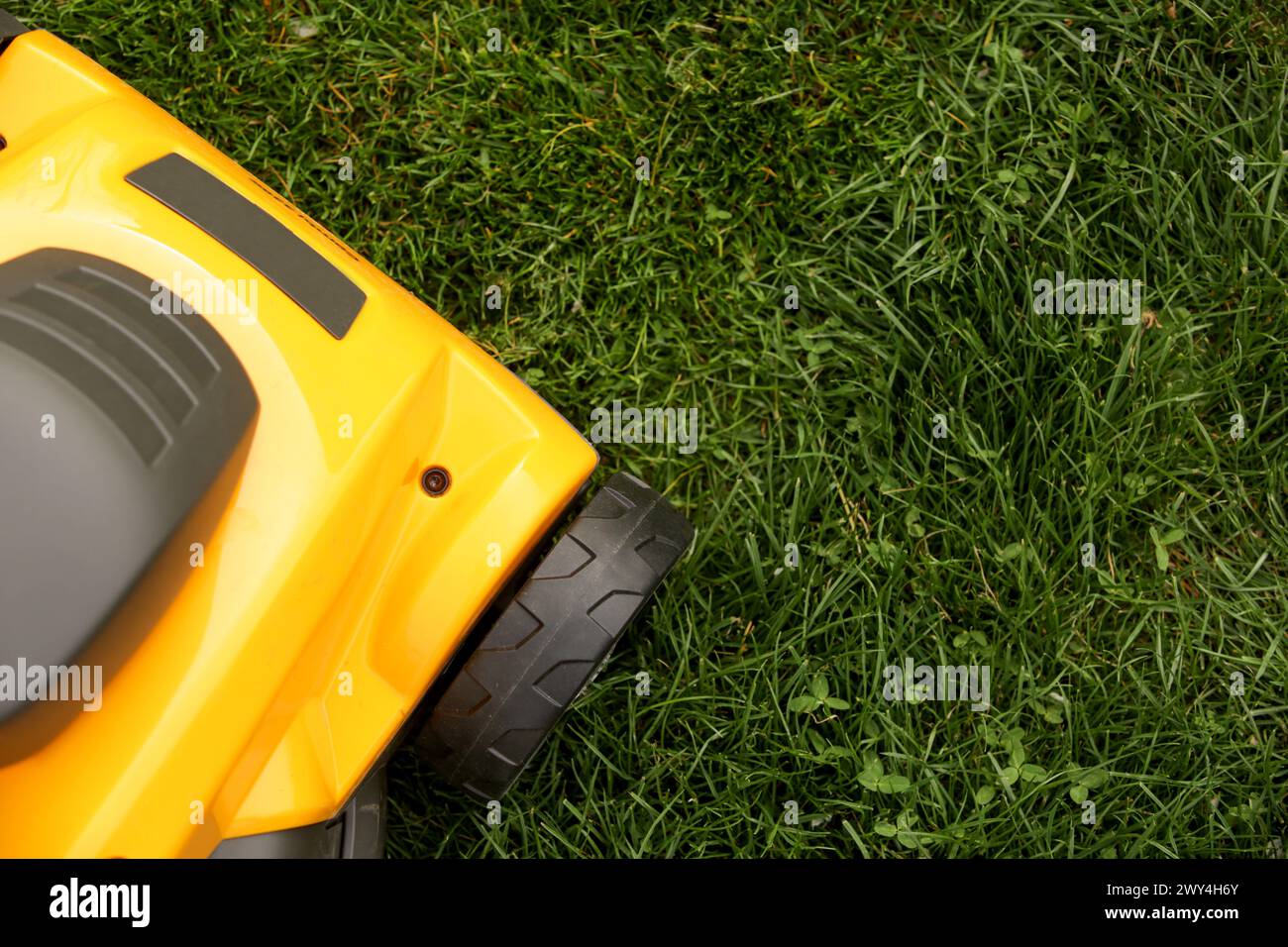 Grass in the yard hi-res stock photography and images - Alamy