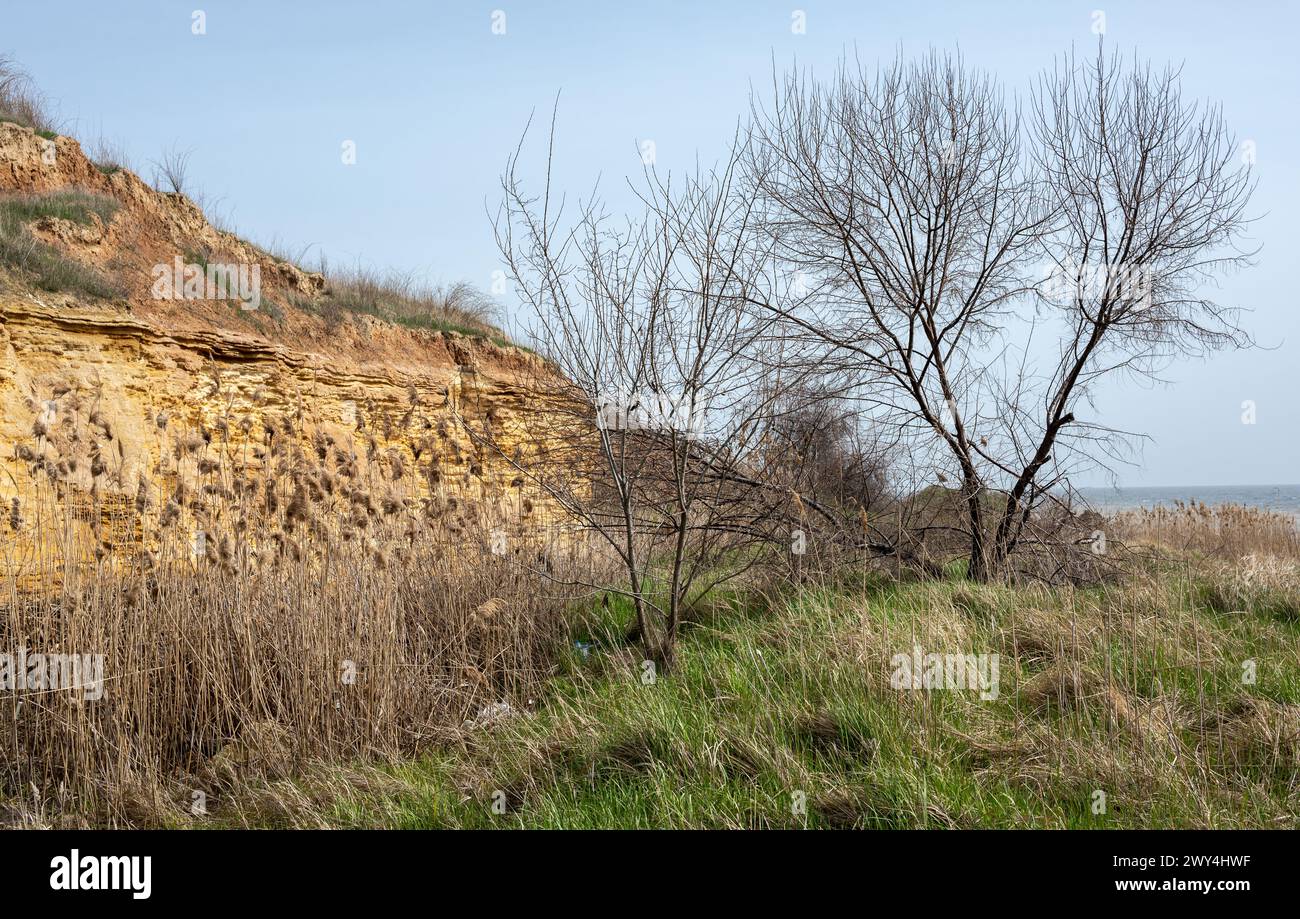 Spring morning on a wild beach in the village of Fontanka, Odessa ...