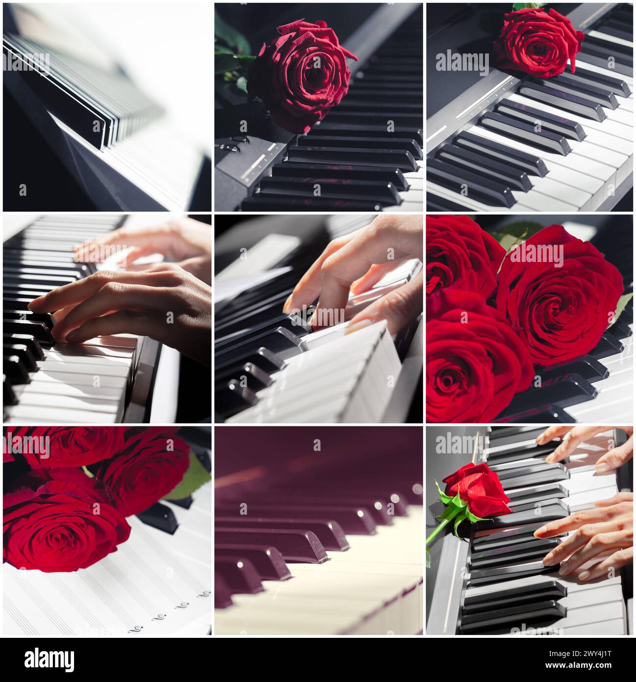 Female keyboard player Cut Out Stock Images & Pictures - Alamy