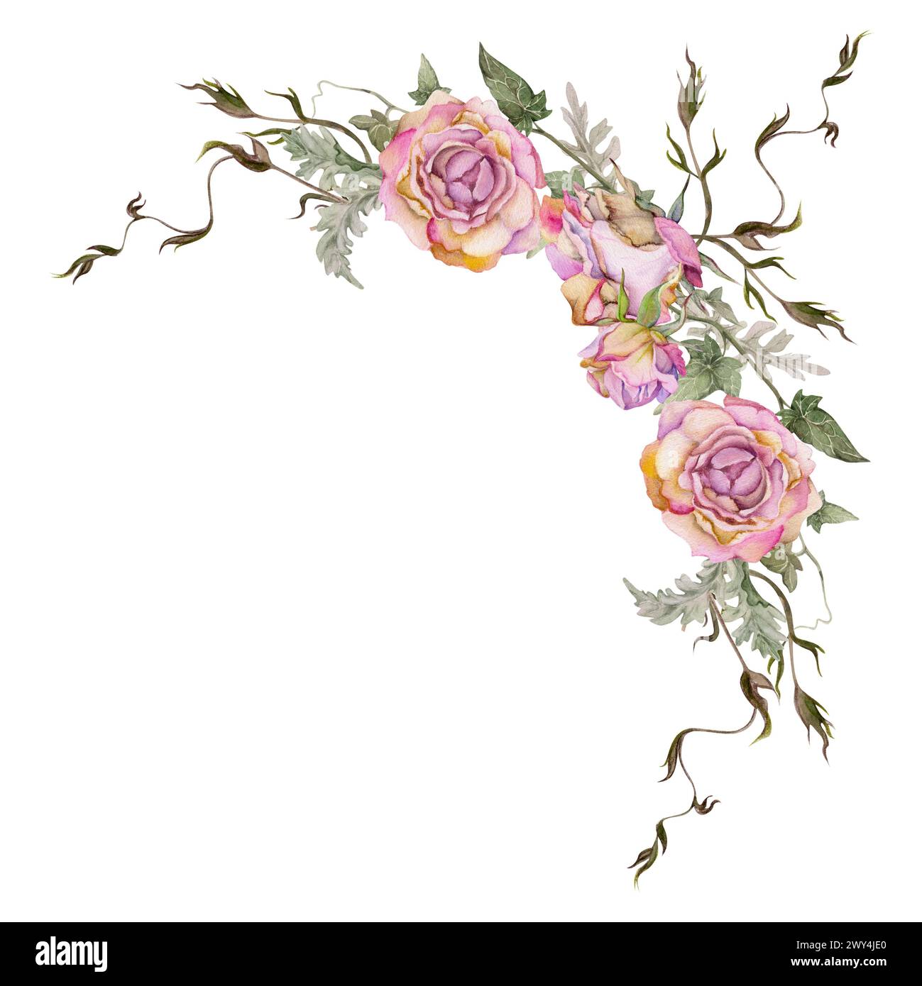 Hand drawn watercolor illustration shabby boho botanical flowers leaves ...