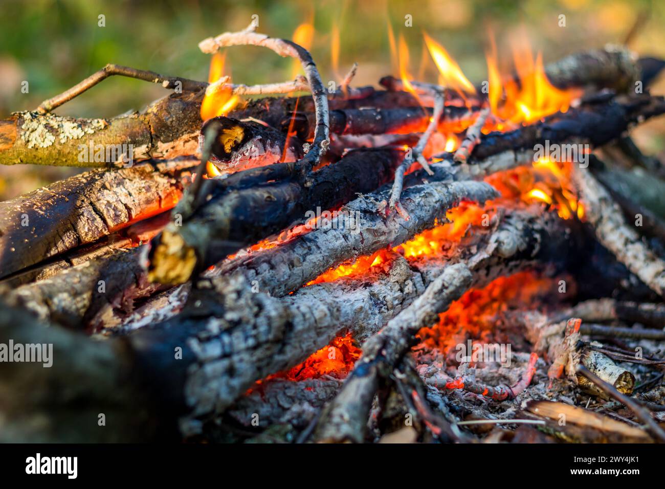 Campfire in the wild forest close up Stock Photo - Alamy