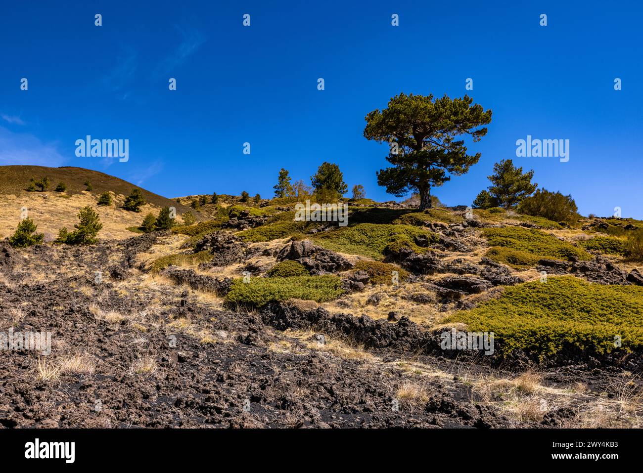 Catania, Italy. 03 April, 2024 Pictured: Walking on the Monte Nero ...