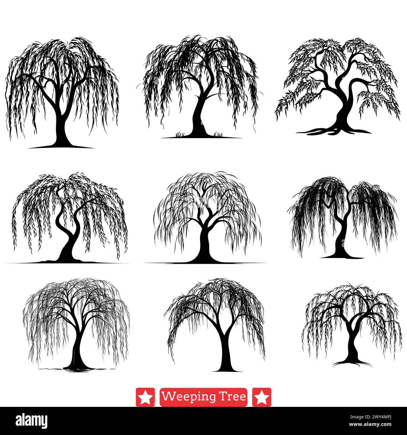 Graceful weeping tree Stock Vector Images - Alamy