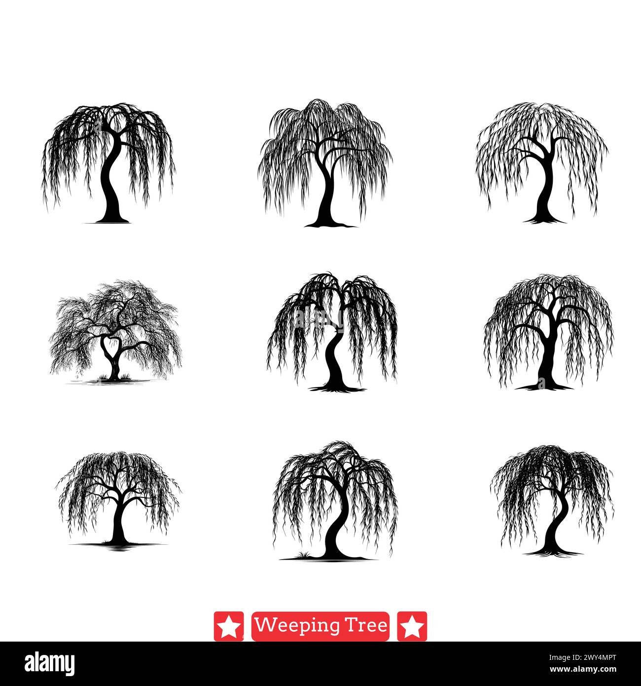 Botanicals vector vectors Stock Vector Images - Alamy