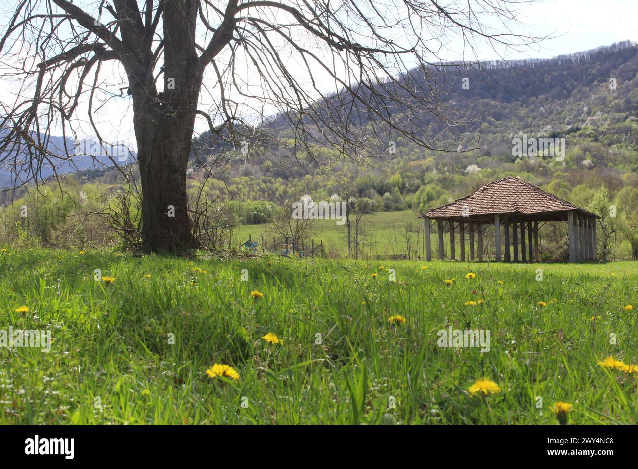 Village life bulgaria hi-res stock photography and images - Alamy
