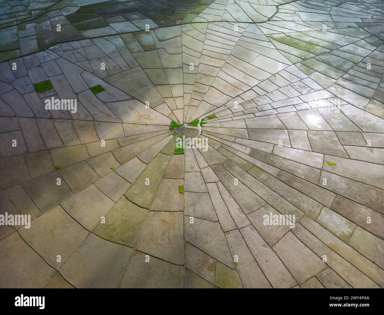 An aerial view of spider web-shaped rice terraces in Flores, Indonesia ...