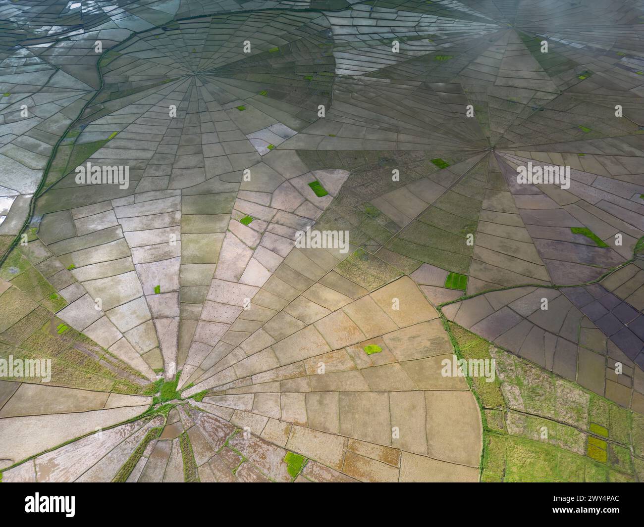 Aerial view stunning rice terraces hi-res stock photography and images ...