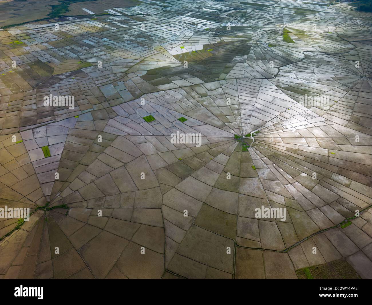 An aerial view of spider web-shaped rice terraces in Flores, Indonesia ...