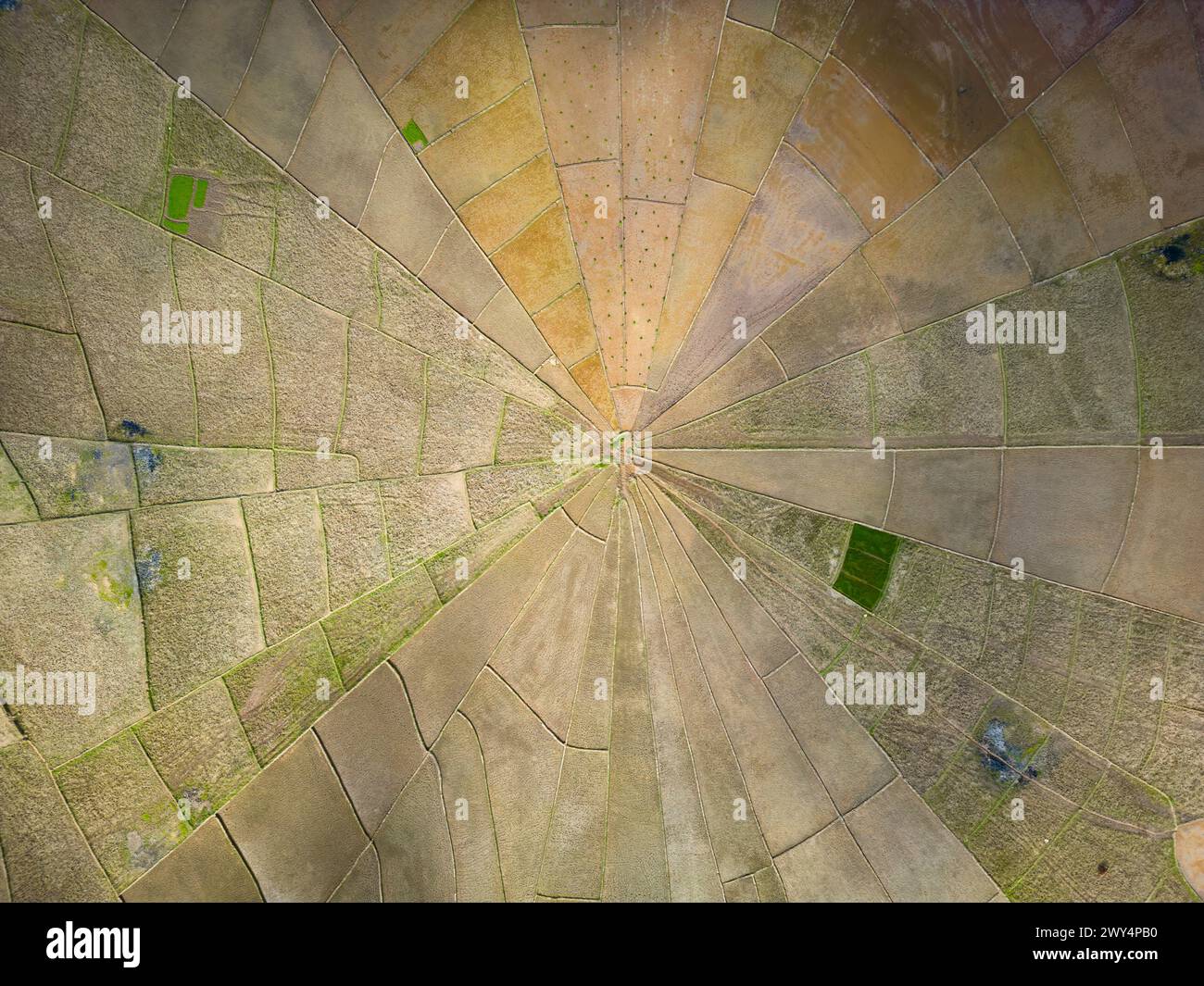 An aerial view of spider web-shaped rice terraces in Flores, Indonesia ...
