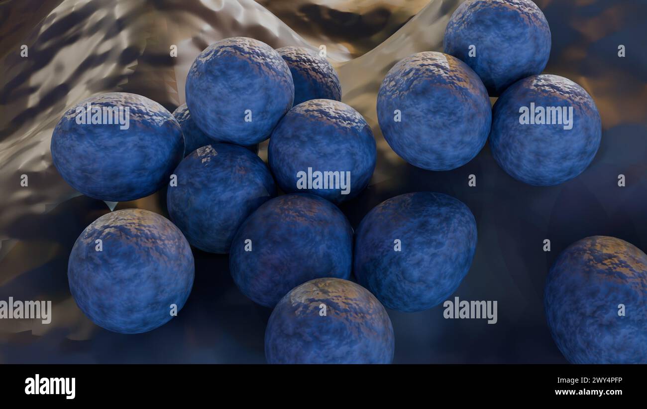 Staphylococcus aureus type hi-res stock photography and images - Alamy