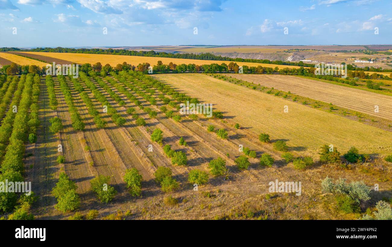 Moldovan countryside hi-res stock photography and images - Alamy