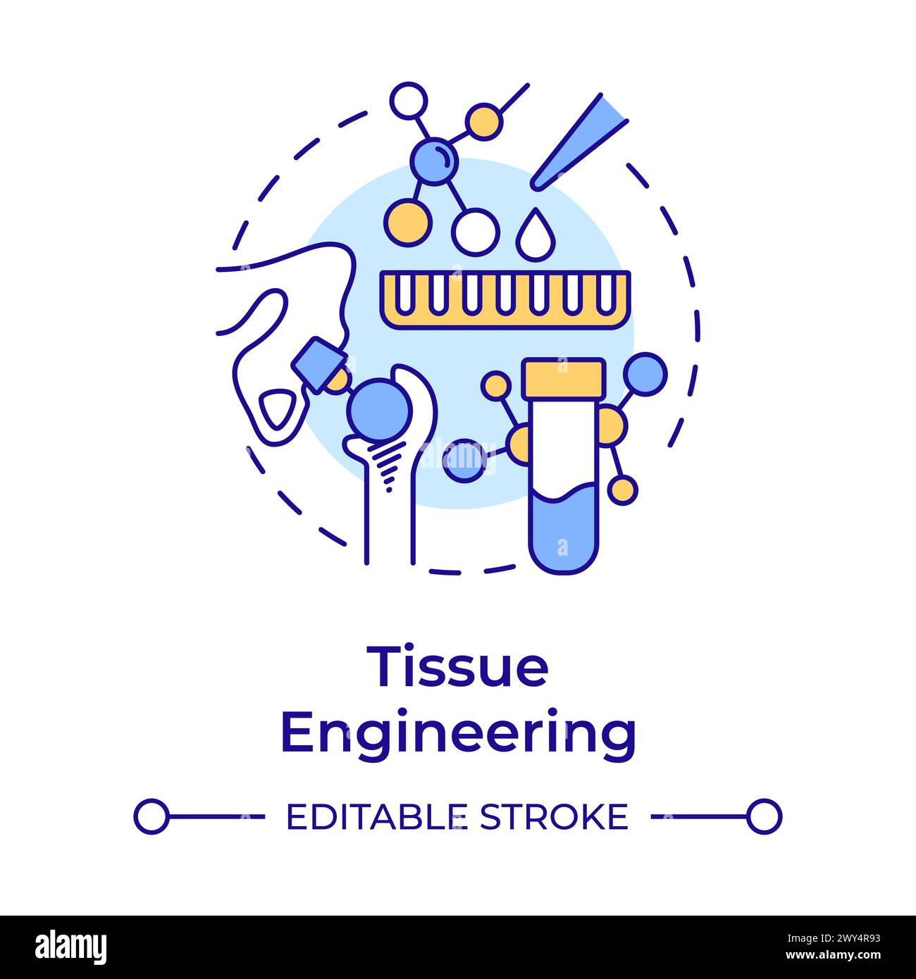 Tissue engineering multi color concept icon Stock Vector Image & Art ... Tissue engineering multi color concept icon Stock Vector Image & Art ...