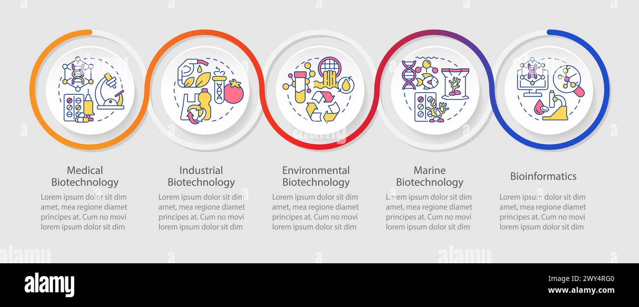 Types of biotechnology loop infographic template Stock Vector Image ...