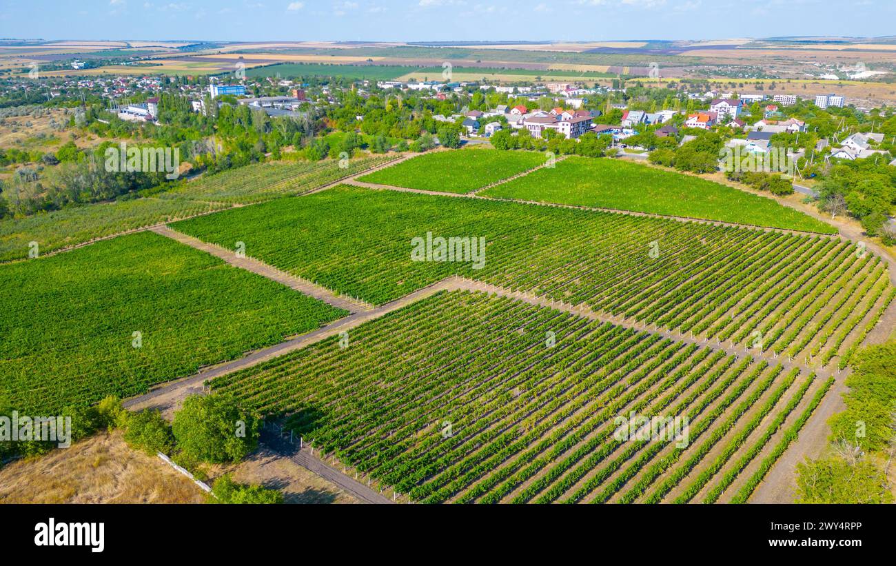 Panorama view of Cricova vineyard in Moldova Stock Photo - Alamy