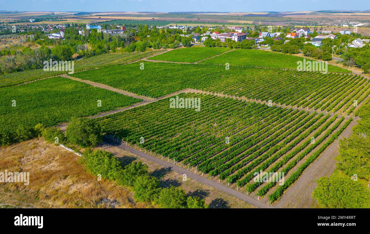 Panorama view of Cricova vineyard in Moldova Stock Photo - Alamy